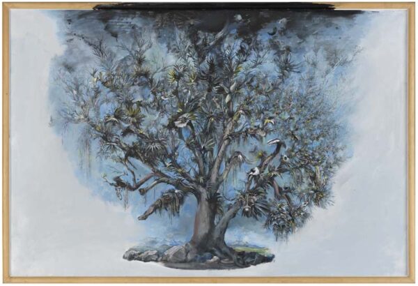 RAYSSE | frac auvergne